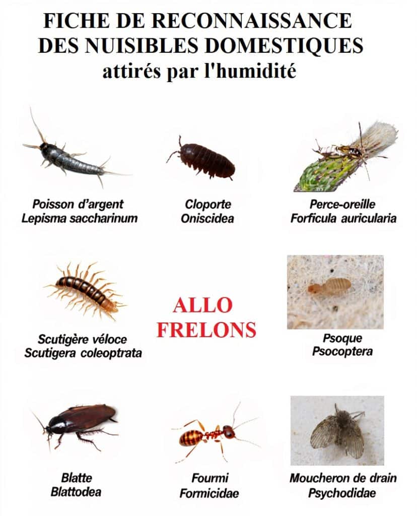 Laisser un commentaire Annuler la réponse